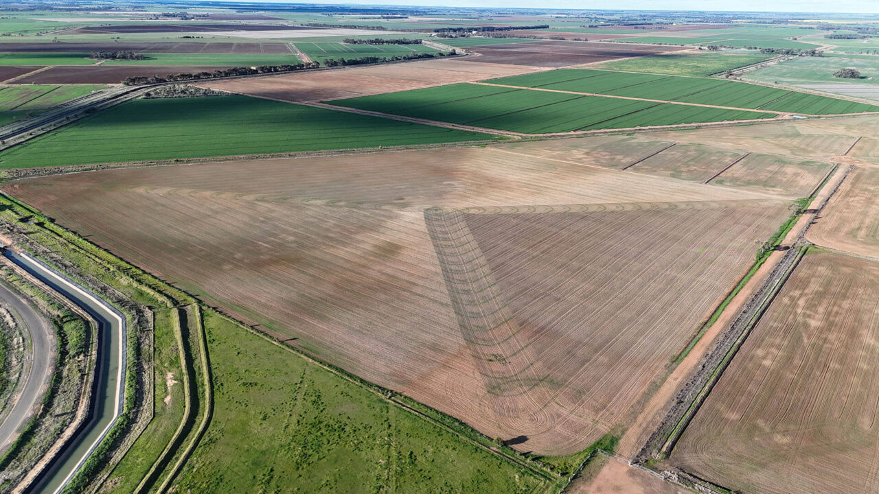 “Fairlie Grange” Aggregation, Coleambally | Mannes Agencies